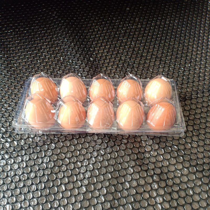 Jual TELUR AYAM NEGERI ~ 10 BUTIR/PAPAN | Shopee Indonesia