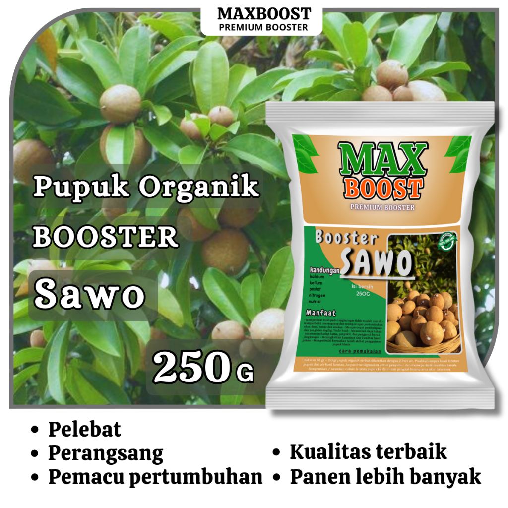 Jual Pupuk Organik booster Pelebat Buah Sawo Booster dan Pupuk Perangsang Pohon Sawo Agar Cepat ...