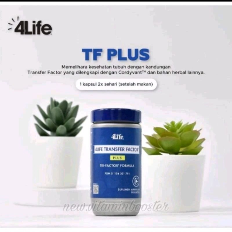 Jual 4LIFE TRANSFER FACTOR PLUS TRI FORMULA 60 KAPSUL ORIGINAL | Shopee ...