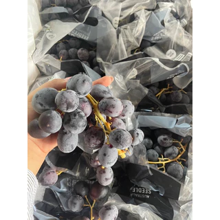 Jual Anggur Hitam Terlengkap & Harga Terbaru Mei 2024 | Shopee Indonesia