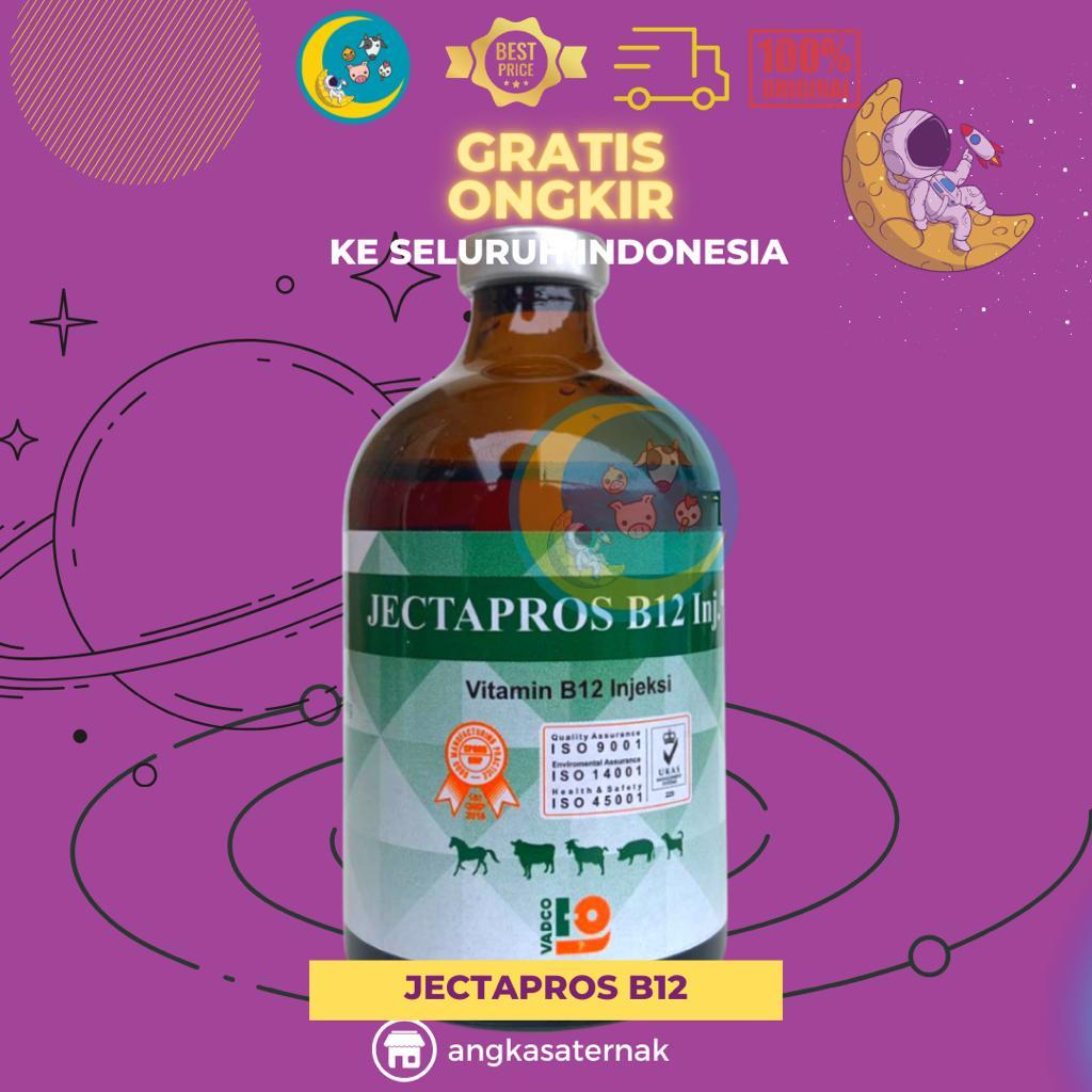 Jual Vitamin B12 JECTAPROS B12 100 ML - Vitamin B12 Injeksi Hewan ...