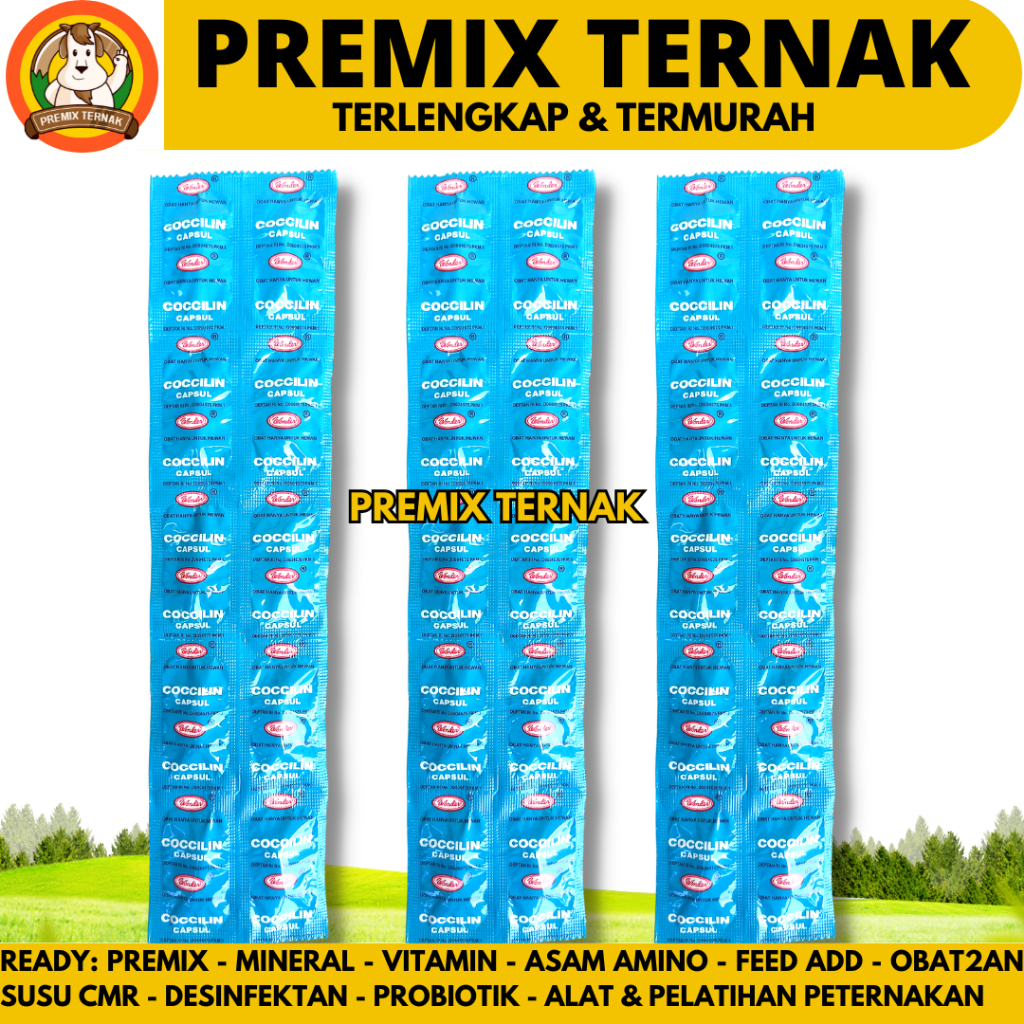 Jual COCCILIN CAPSUL ISI 10 KAPSUL WONDER - Obat Ayam Ngorok Crd Pilek ...