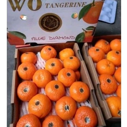 Jual JERUK MANDARIN SWEET WOKAM / WOGAN 500 GRAM - 1 KG | Shopee Indonesia