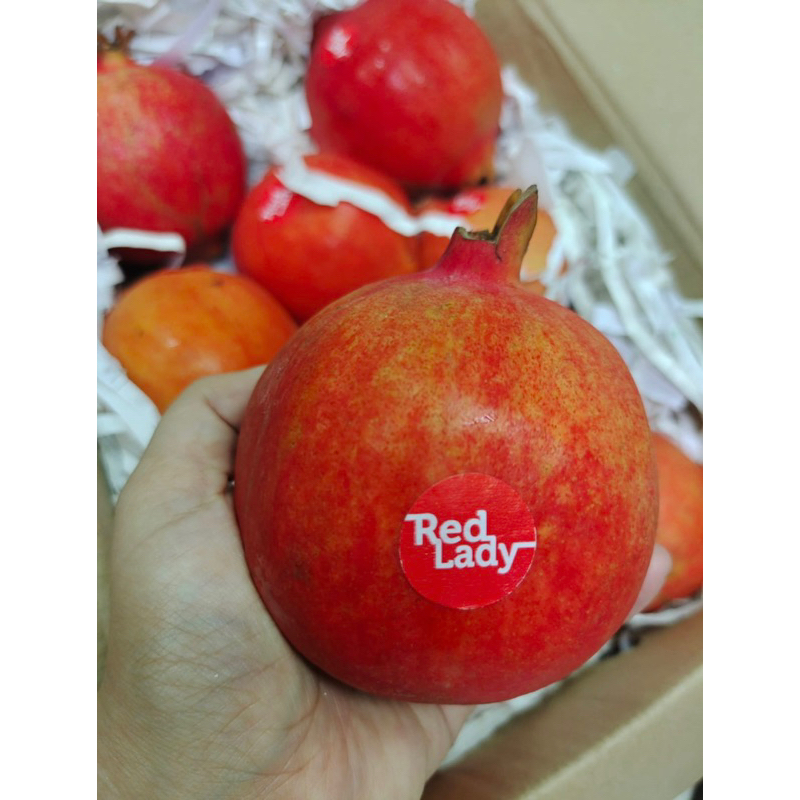 Jual Red Pomegranate 2 Buah (Delima Merah ) | Shopee Indonesia