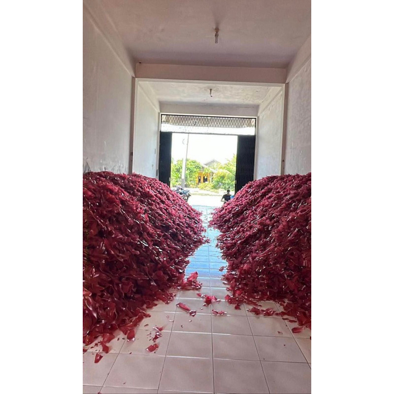 Jual kerupuk merah SINAR MATAHARI asli padang (1kg) | Shopee Indonesia