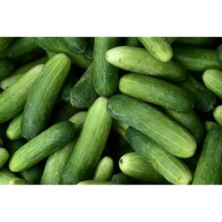 Jual Timun 1 Kg Terlengkap & Harga Terbaru September 2025 | Shopee ...