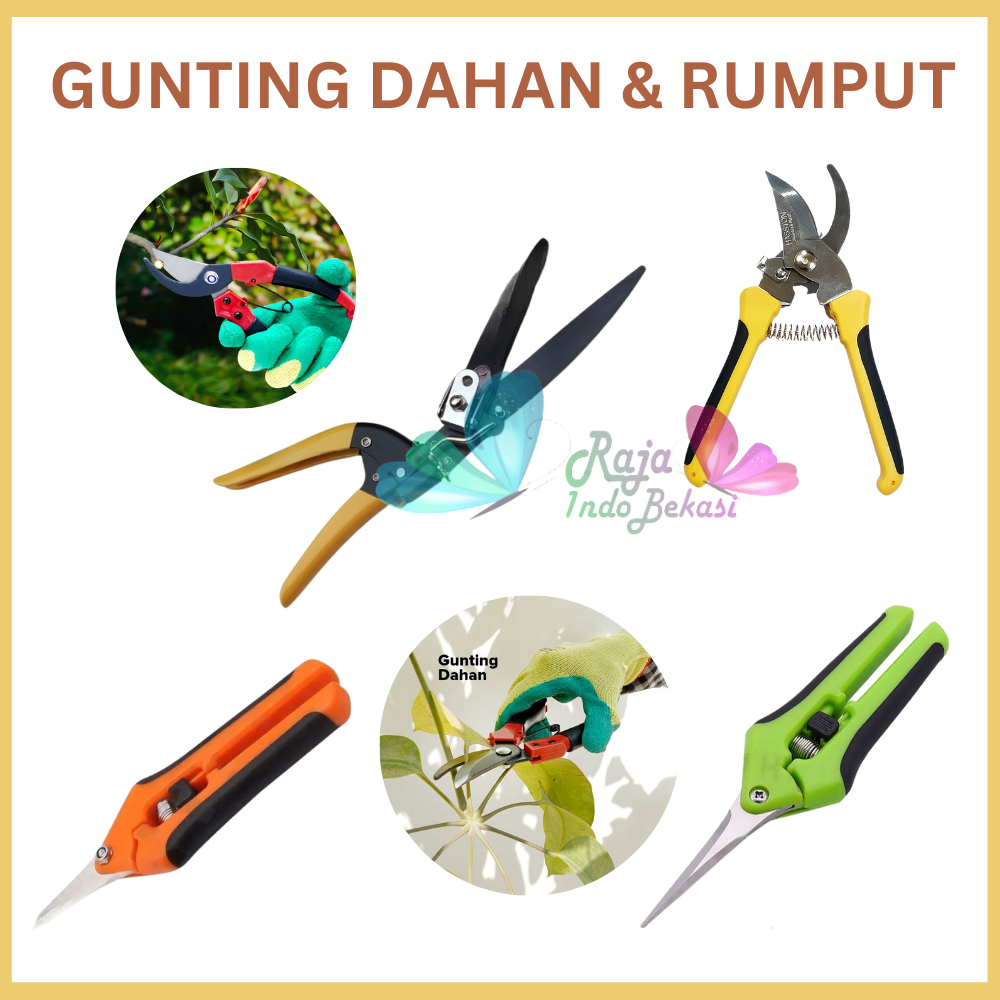 Jual Gunting Tanaman Gunting Buah Bunga Daun Bonsai - Fruit Picking ...