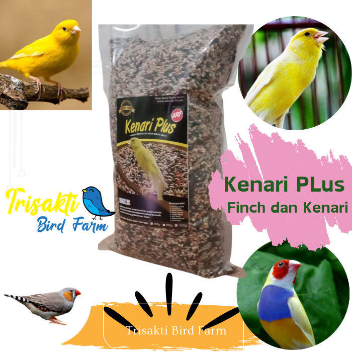 Jual Pakan Kenari PLUS 1 Kg Pakan Burung Kenari Kemasan Ekonomis ...