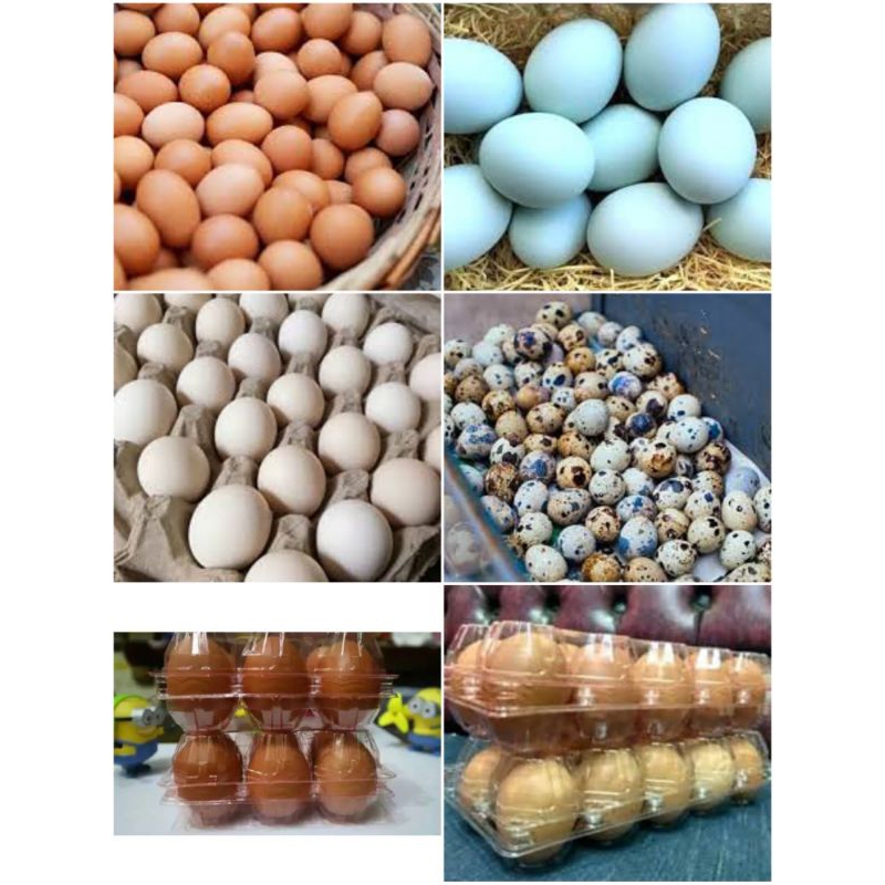 Jual Telor ayam, puyuh, ayam kampung, bebek | Shopee Indonesia