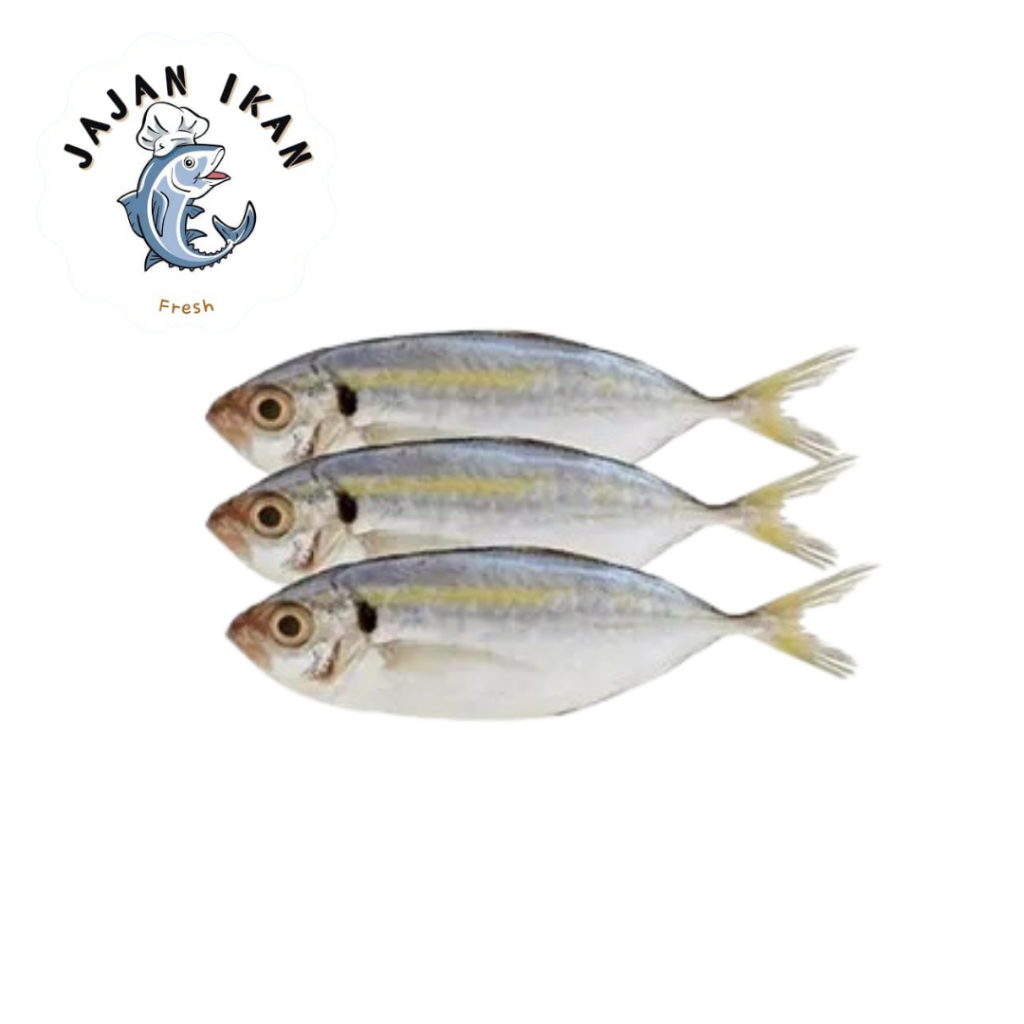 Jual [JAJAN IKAN] Ikan Selar Kecil Fresh 1 KG | Shopee Indonesia