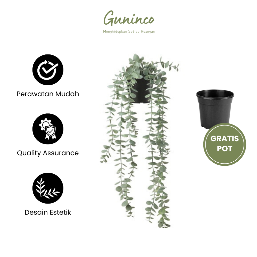 Jual LCI Tanaman Juntai Eucalyptus Gantung Daun Rambat Palsu Tanaman ...