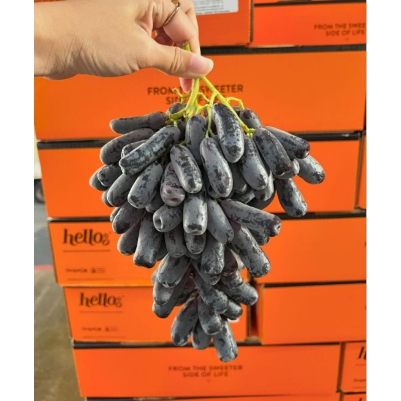 Jual Sweet Sapphire | Anggur Moondrop Manis | Anggur Jari Besar ...