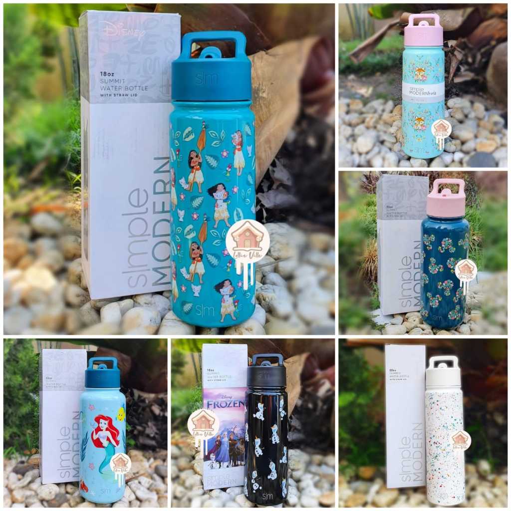 Jual READY STOCK Simple Modern Stainless Steel Waterbottle - Botol ...