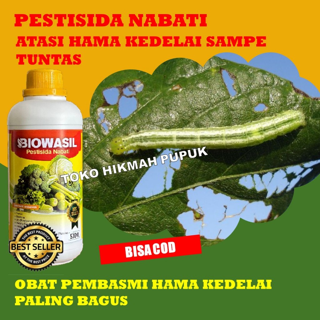 Jual Pupuk Pengendali Hama Ulat Kedelai Paling Bagus Pestisida Hama ...
