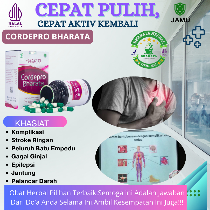 Jual Obat Komplikasi Stroke, Batu Empedu, Epilepsi Jantung Herbal 100% ...