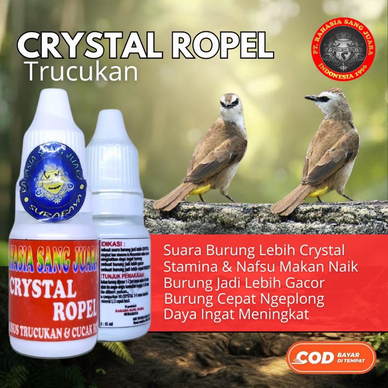 Jual CRYSTAL ROPEL - Vitamin Burung TRUCUKAN GACOR Ropel || Rahasia ...