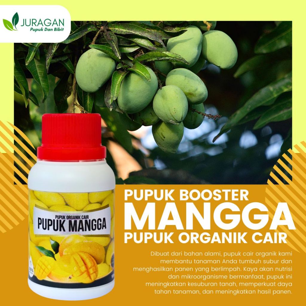 Jual Pupuk Tanaman Mangga, Pupuk Mangga Booster, Pupuk Mangga Berbuah ...