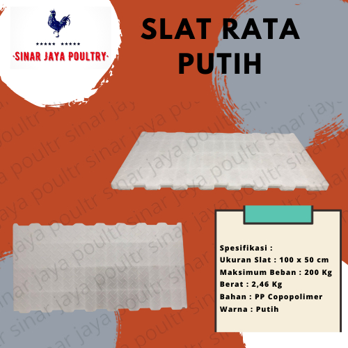 Jual PLASTIC SLAT PUTIH RATA / Slat Rata Lantai Pijakan Alat Ternak Ayam / ALAS | Shopee Indonesia