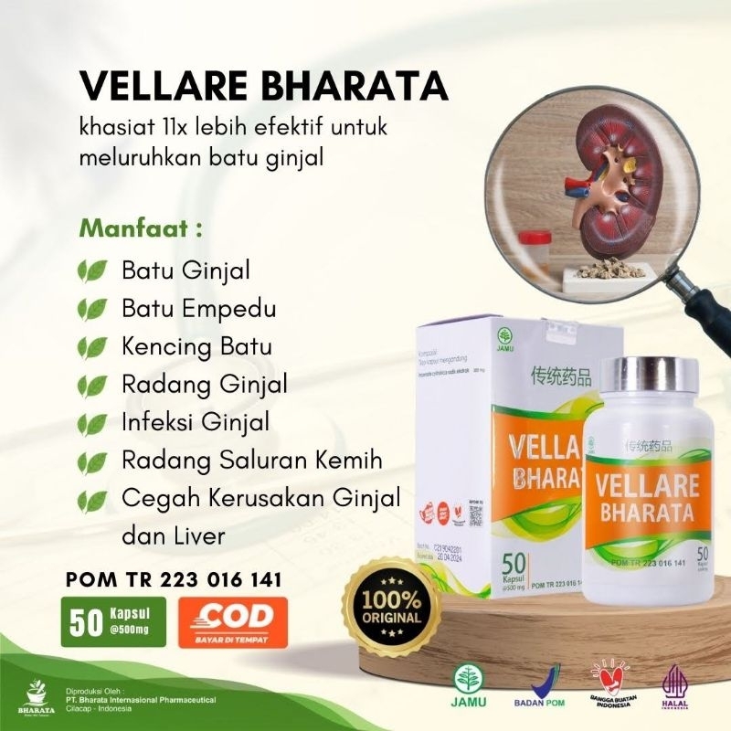 Jual Vellare Bharata - Obat Batu Ginjal Batu Empedu Kencing Batu Peluru Batu Ginjal Paling Ampuh ...