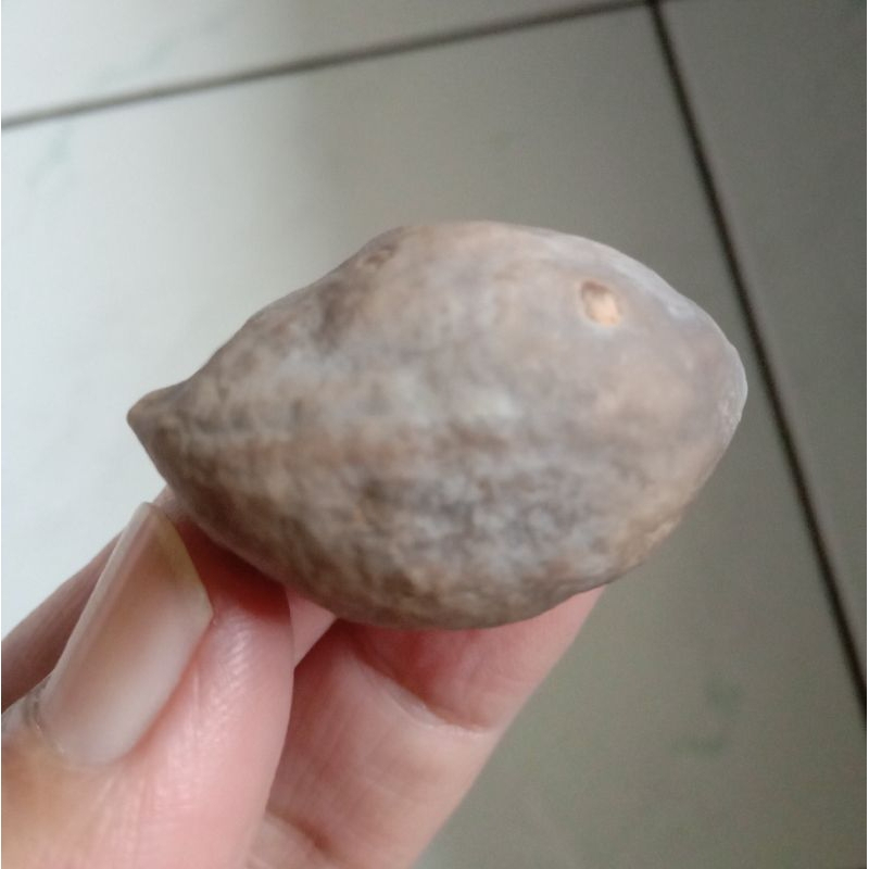 Jual Kemiri Adu Muncang Adu Jawa Arin Ori Urgen Full Tua | Shopee Indonesia