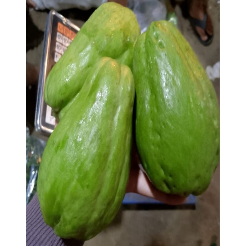 Jual Labu Siam muda 1kg | Shopee Indonesia
