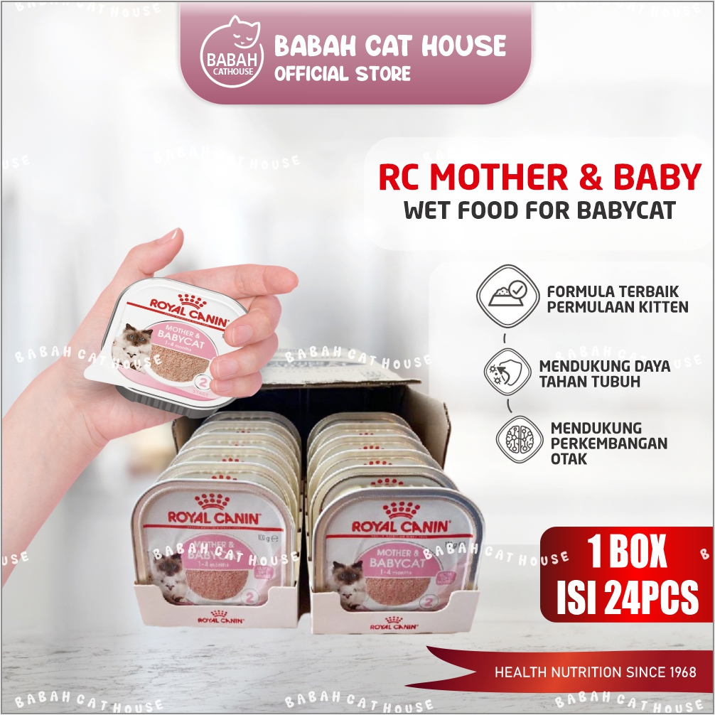Jual 1 BOX RC MOTHER AND BABY CAT Kemasan TRAY ( Dus isi 24pcs ) Royal ...