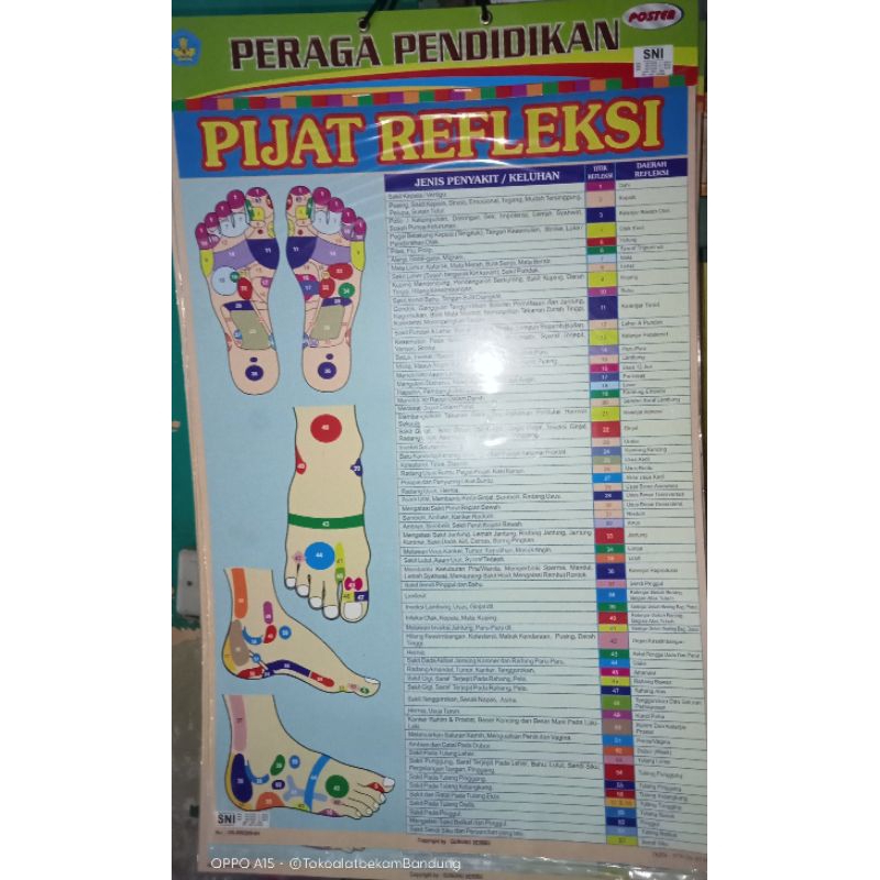 Jual poster Pijat Refleksi | Shopee Indonesia