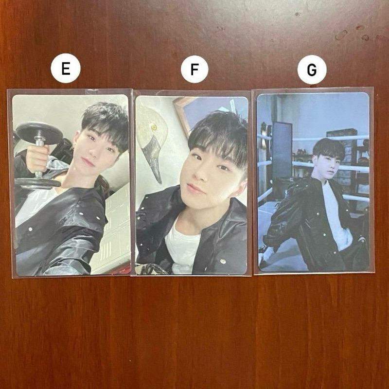 Jual Photocard/PC Hoshi FML Official | Shopee Indonesia