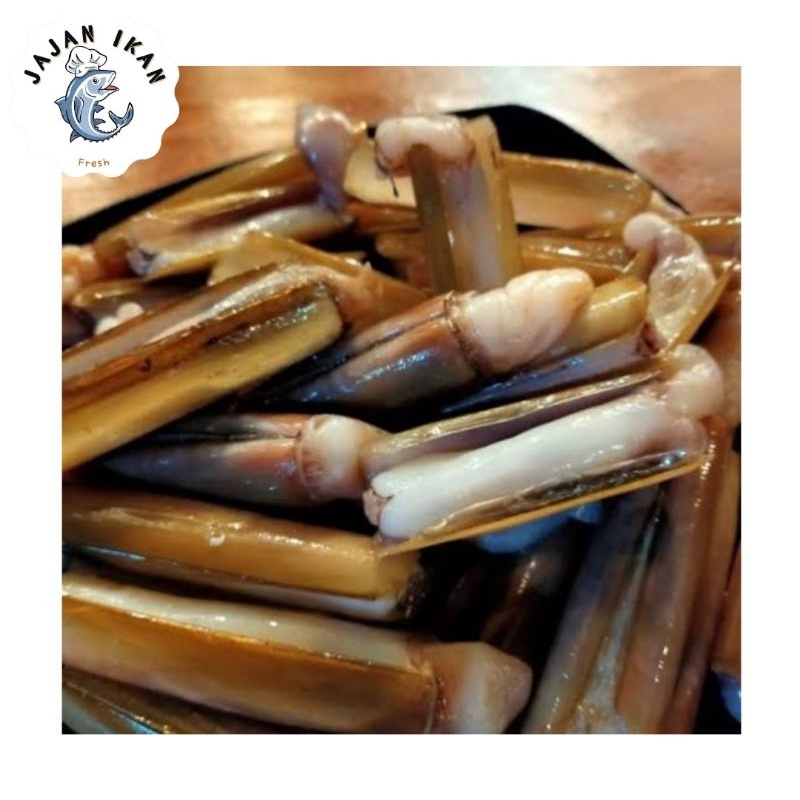 Jual [JAJAN IKAN] Kerang Bambu Fresh Frozen 1Kg | Shopee Indonesia