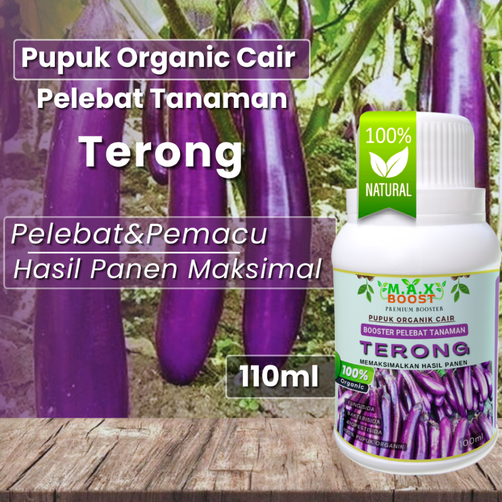 Jual Booster Cair TERONG, Pupuk Organik Cair TERONG, POC Terbaik Untuk Melebatkan Secara ...