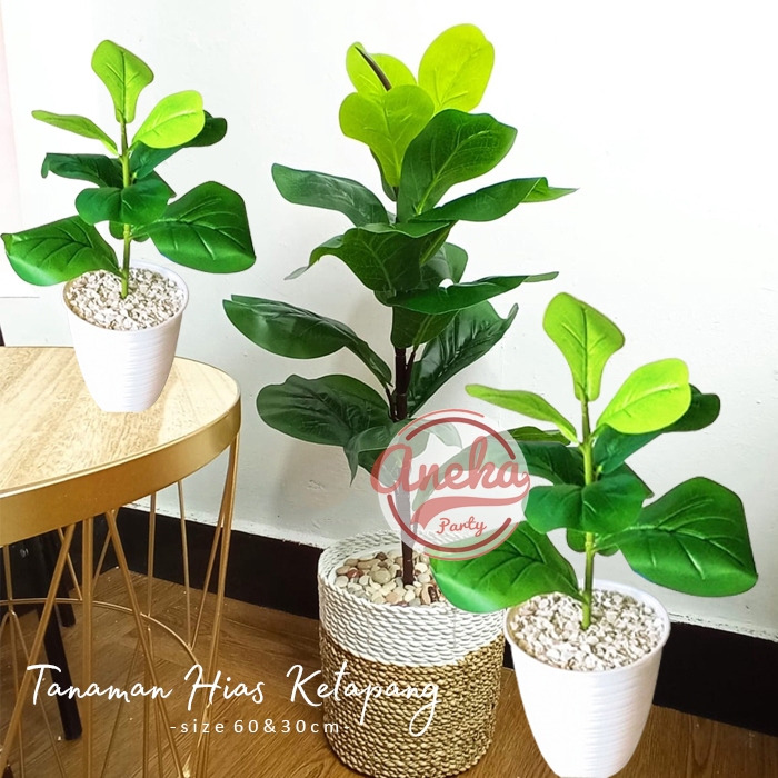 Jual Tanaman Hias Artificial Ketapang / Pohon Plastik Daun Ketapang ...
