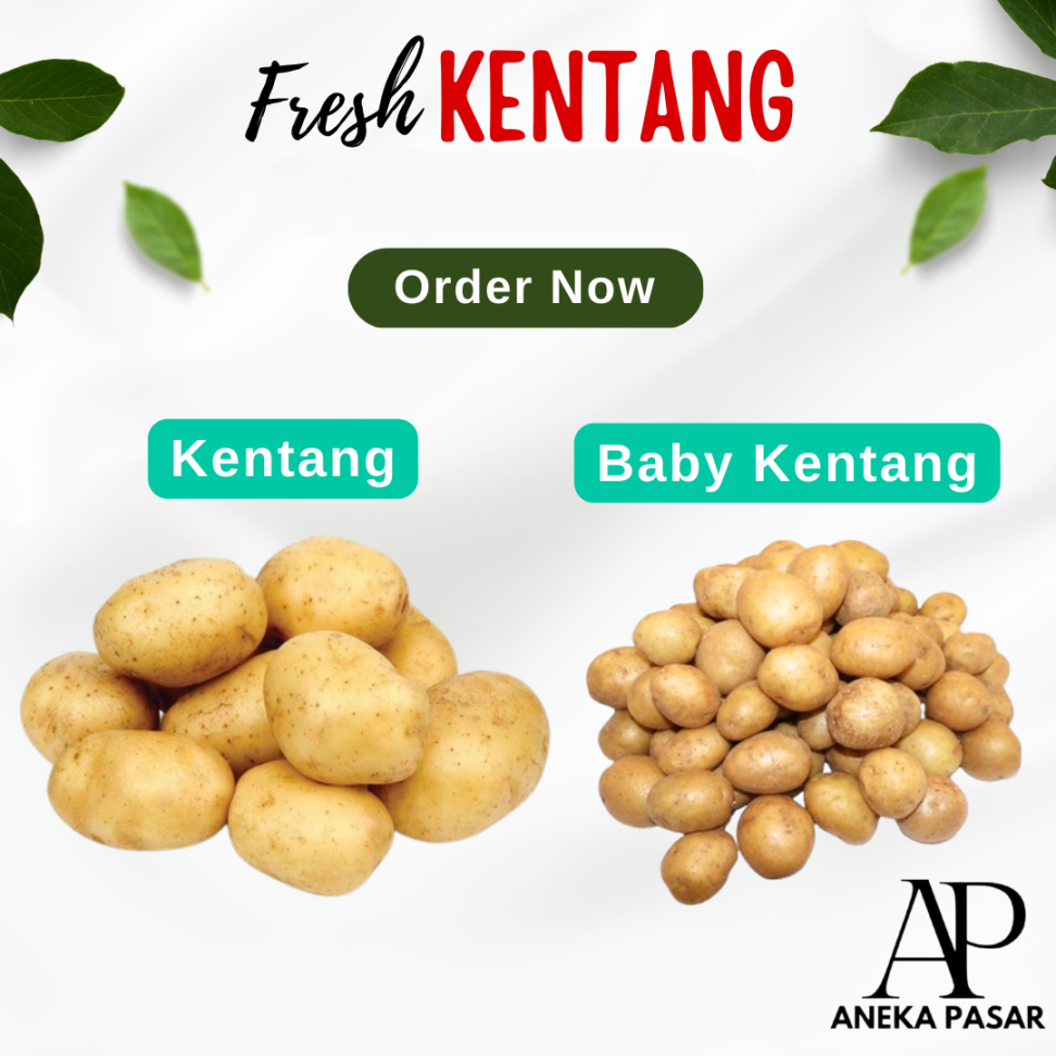 Jual Kentang Potato / Baby Kentang Kecil Sayuran Segar Surabaya ...
