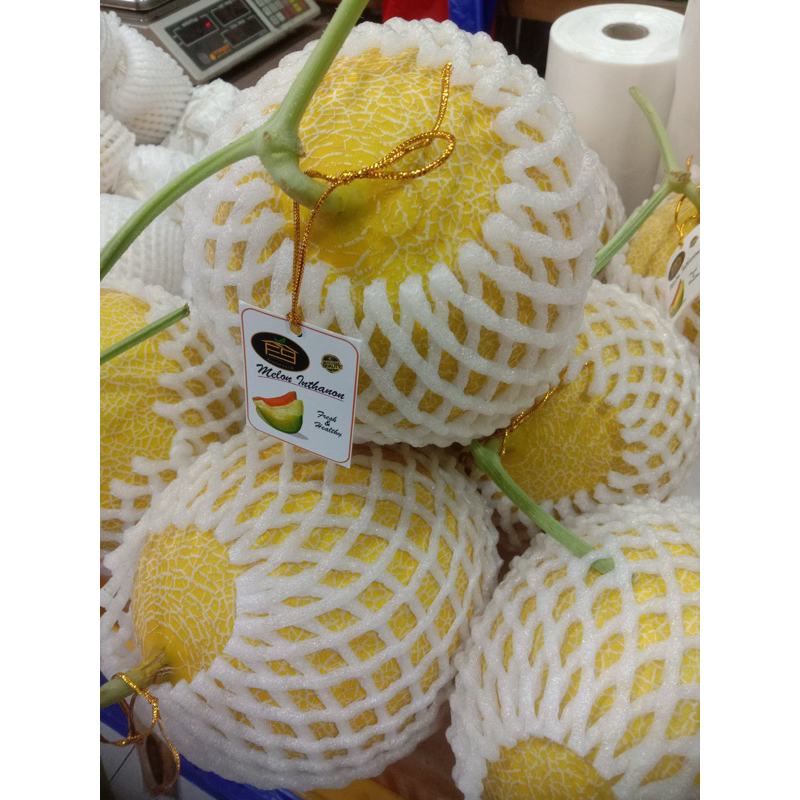 Jual melon premium | melon manis buah melon manis | buah melon inthanon ...
