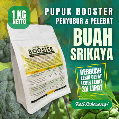 Jual 1Kg Pupuk Padat Booster Pelebat Buah Srikaya Penyubur Perangsang Pemanis Pembesar Pemacu ...