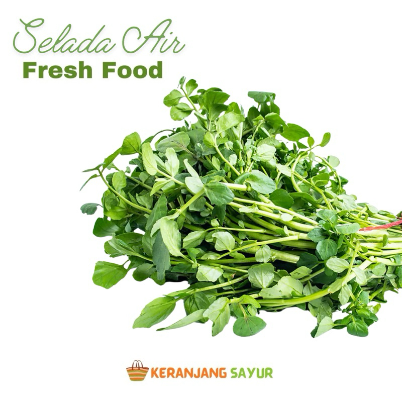 Jual Selada Air | Jukut 1 Ikat | Shopee Indonesia