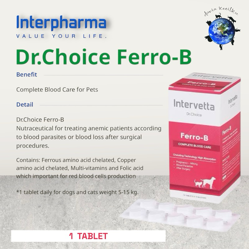 Jual Intervetta Dr. Choice Ferro B Suplemen Penambah Darah / Anemia ...