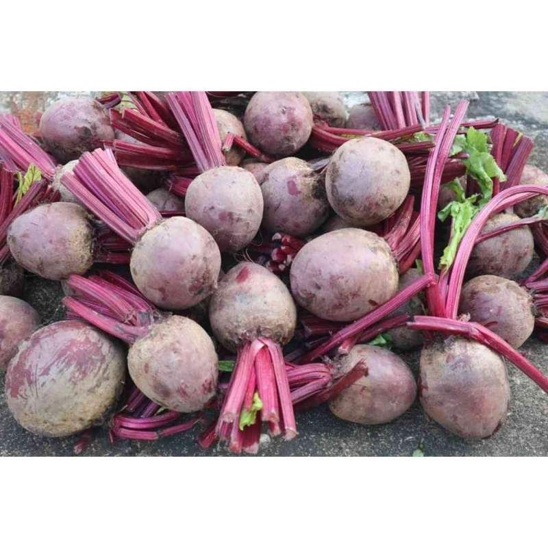 Jual beet root berat 1kg | Shopee Indonesia