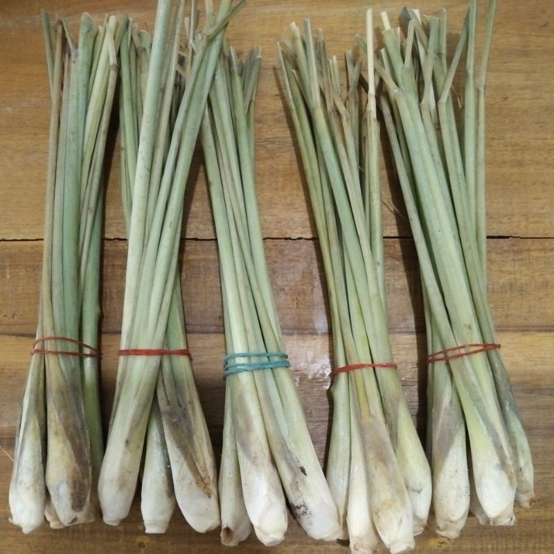 Jual sereh / serai | Shopee Indonesia