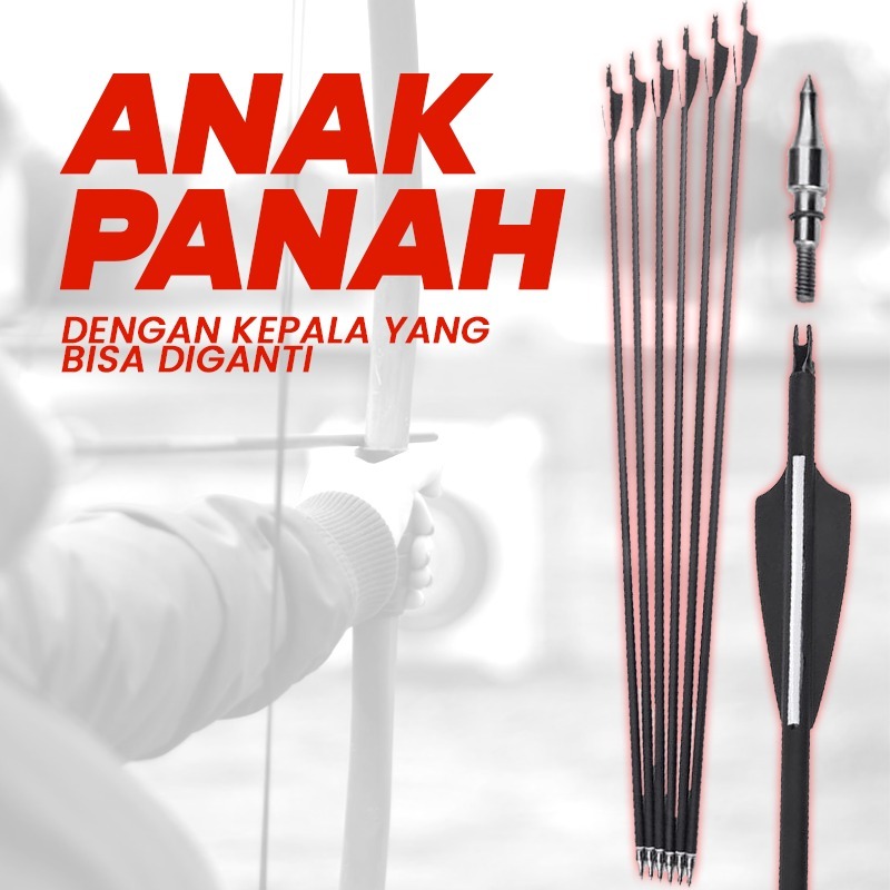 Jual Anak Panah Arrow FULL CARBON Sport Equipment 1 PCS | Shopee Indonesia