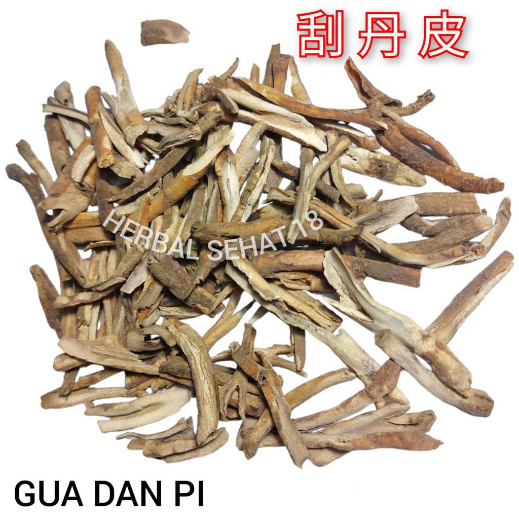 Jual 600 gram - Gua Dan Pi Shi Tan Pi Mu dan Pi - [ 丹皮 ] - Cortex ...