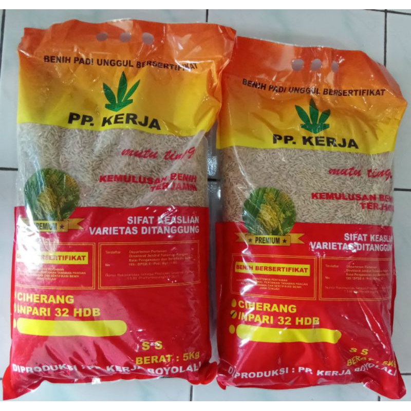Jual BIBIT PADI INPARI 32 PREMIUM 5KG | Shopee Indonesia