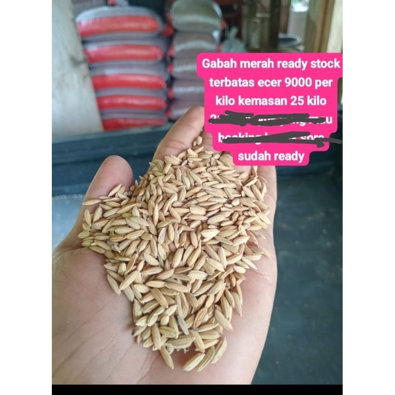 Jual gabah Merah paket 25 kg | Shopee Indonesia