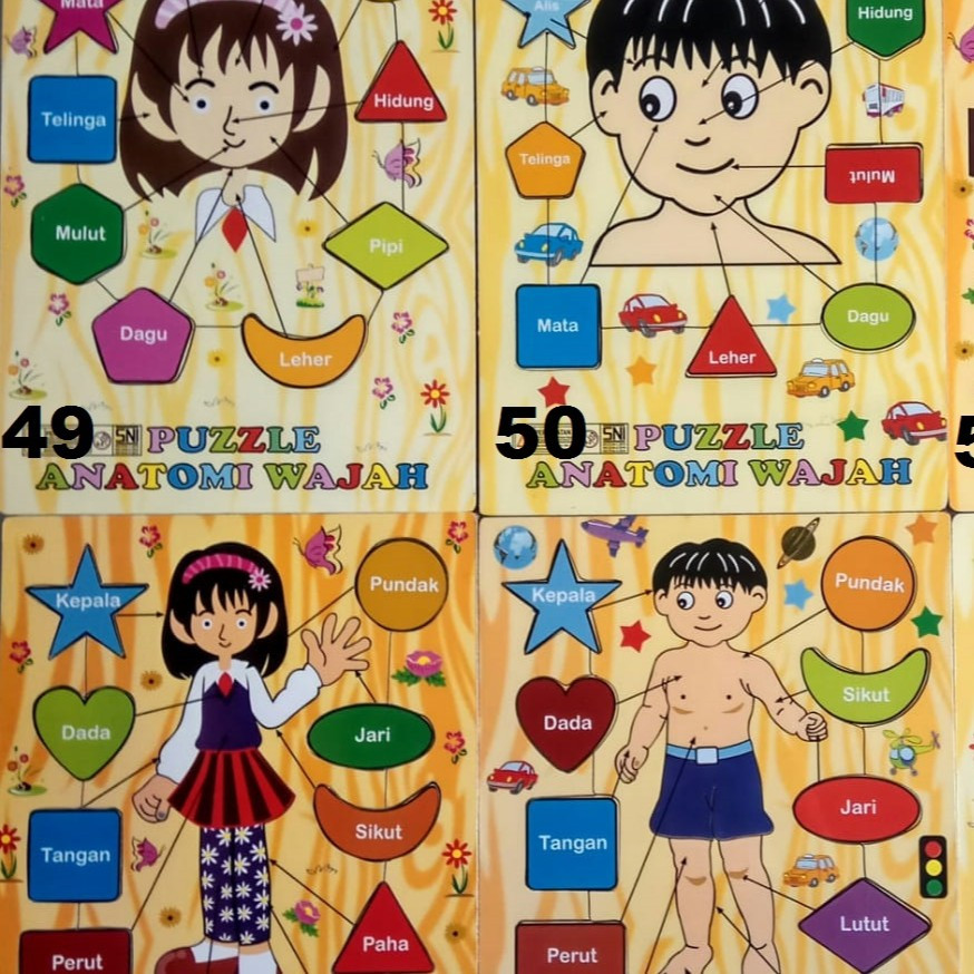 Jual Mainan Edukasi Anak Puzzle Kayu Gambar Anatomi Bagian Wajah Tubuh ...
