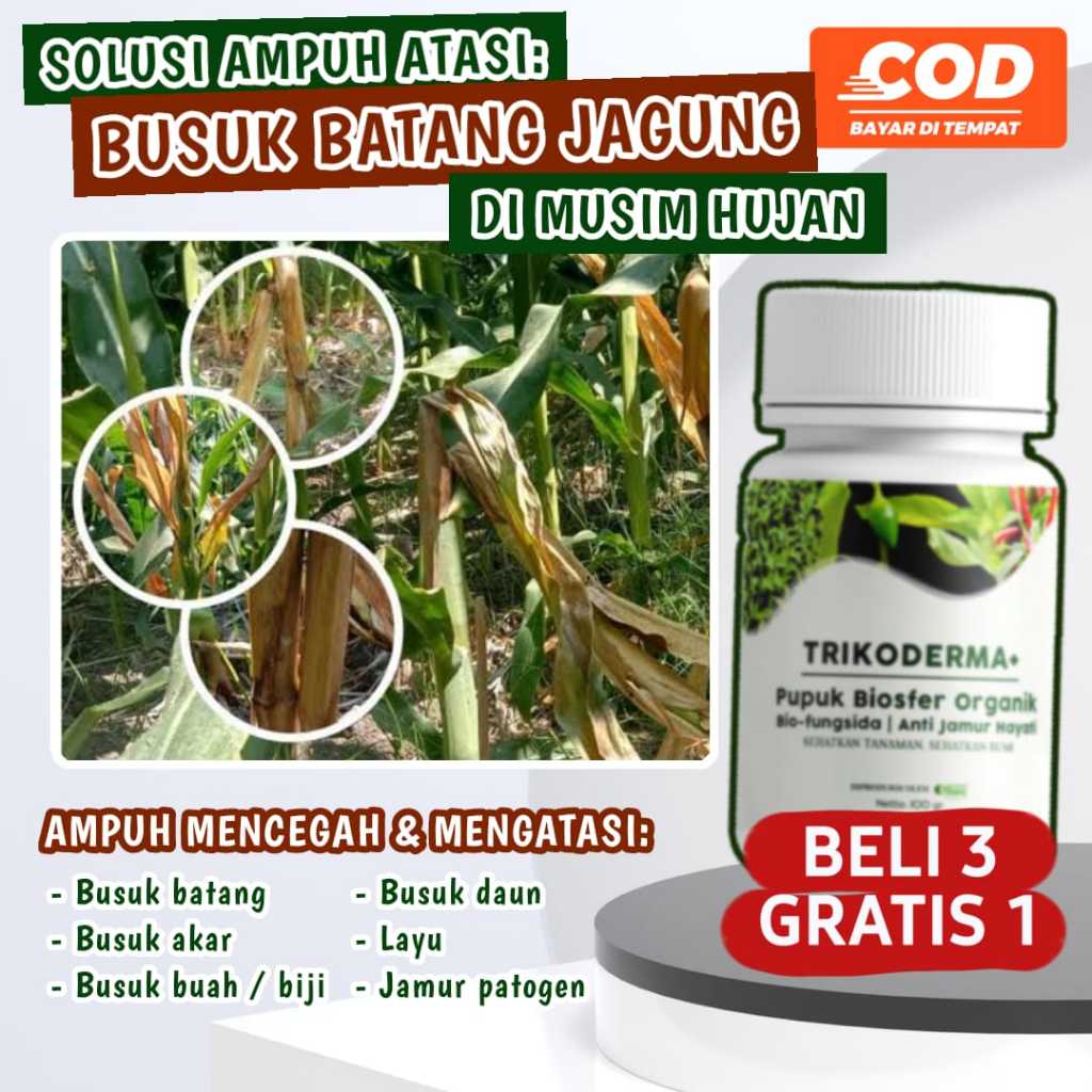 Jual ALFAGREEN- Tricoderma Fungisida Pembasmi Jamur Pencegah tan Obat ...
