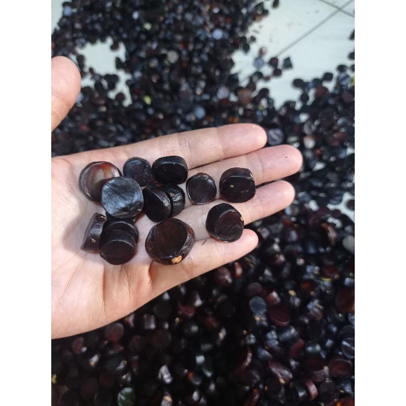 Jual kabau jolang jaling habo tuo 500gr/ 1/2 kg | Shopee Indonesia