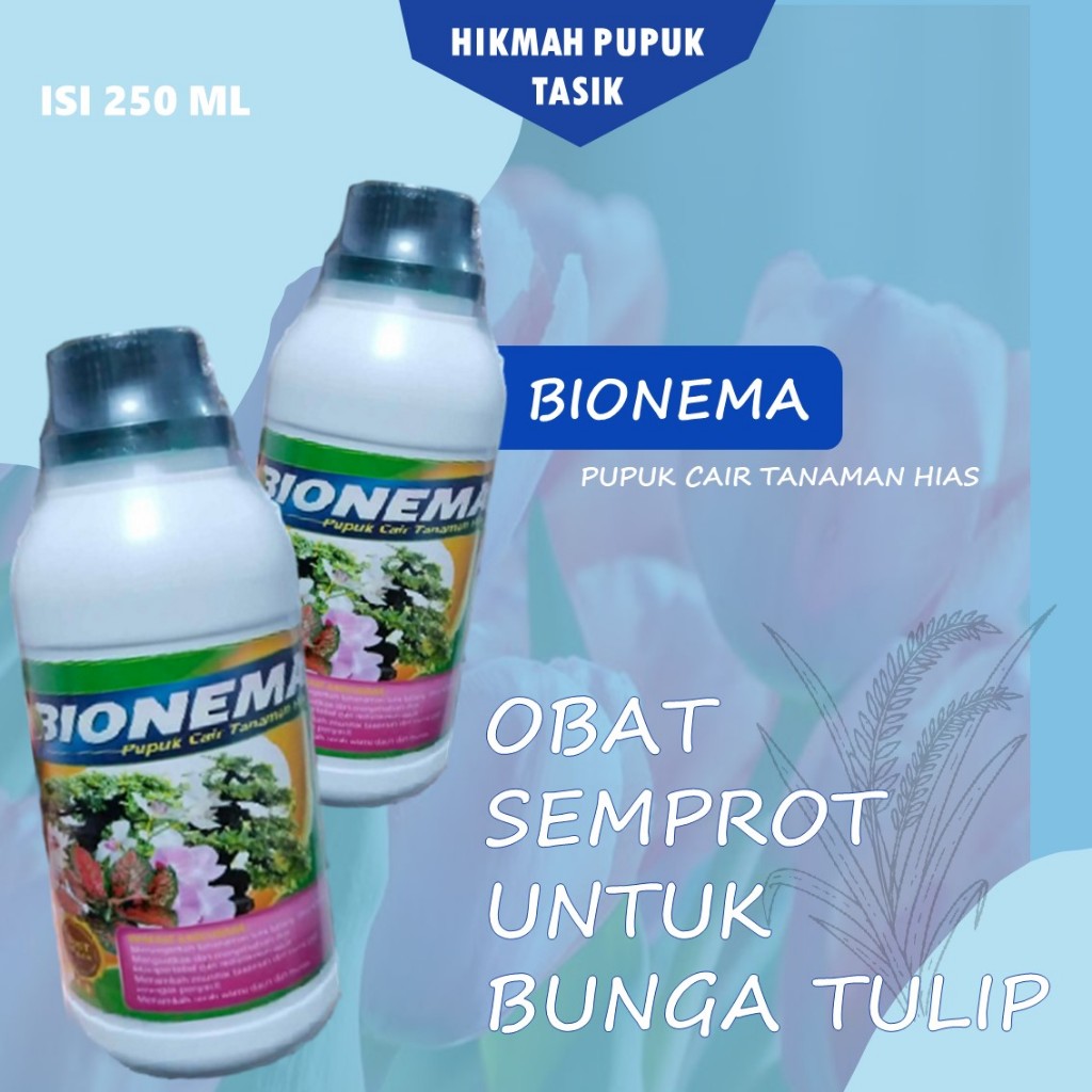 Jual PUPUK SEMPROT BUNGA TULIP MELEBARKAN DAUN DAN MEMPERTEBAL BUNGA ...
