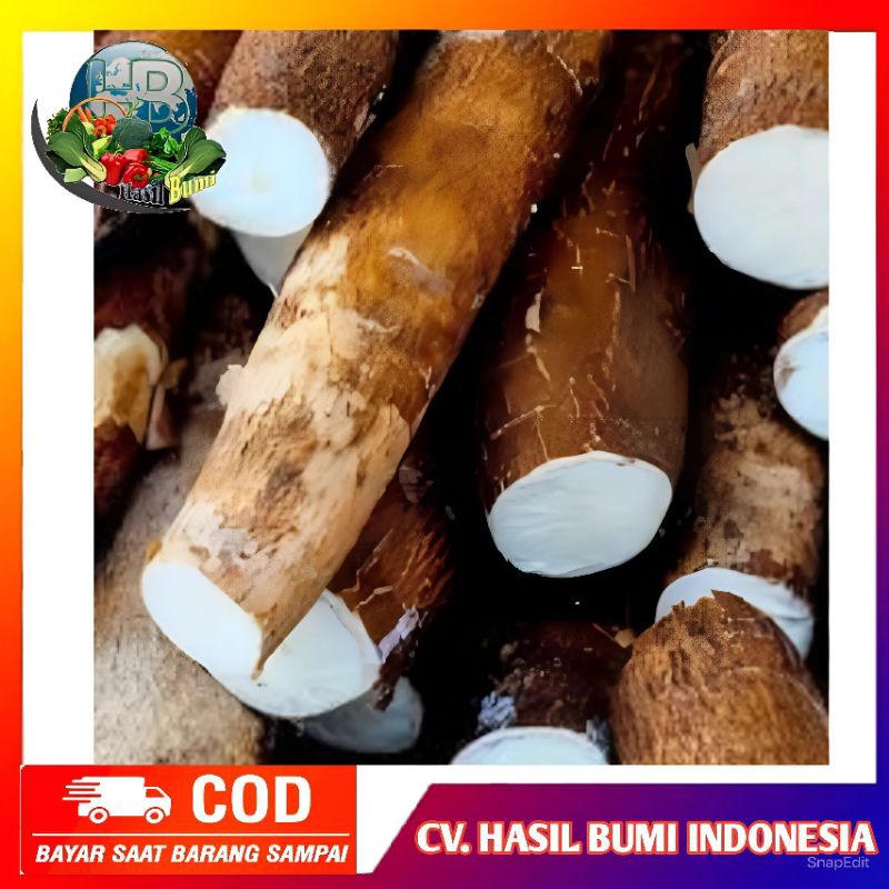 Jual Singkong roti di jamin segar empuk pulen 1kg | Shopee Indonesia