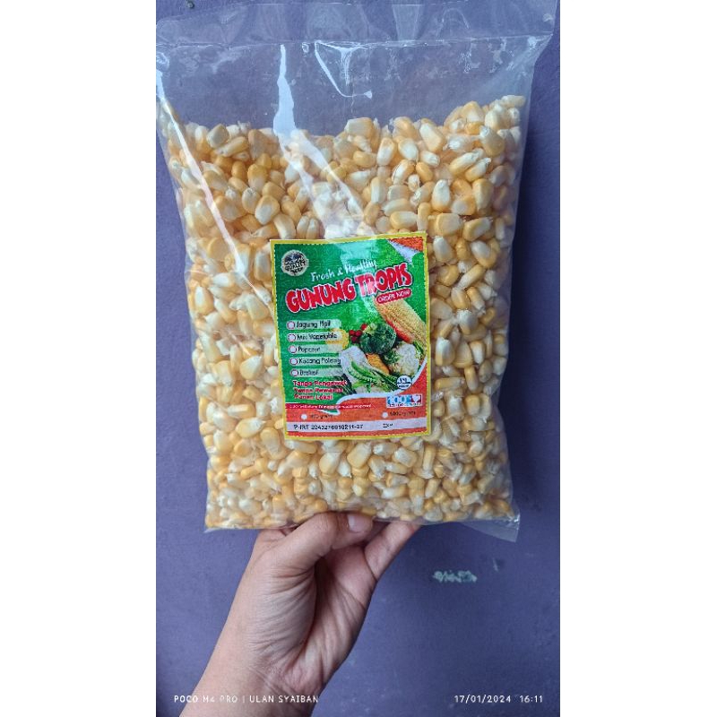 Jual Jagung Manis pipil 1kg ( jagung madu cocok untuk jasuke ) | Shopee ...