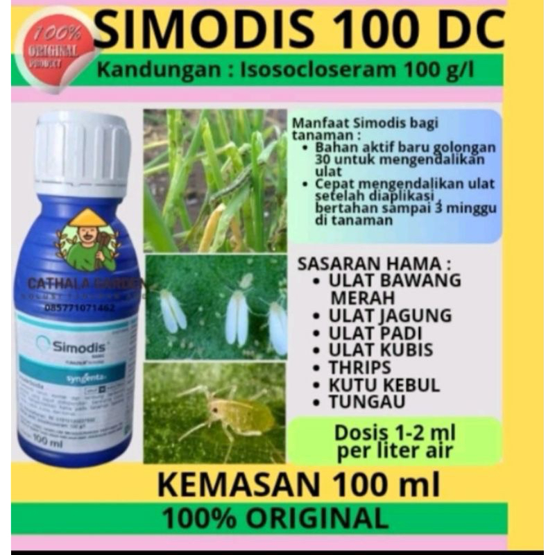 Jual SIMODIS 100DS 100ml Insektisida Ulat Bawang cabai | Shopee Indonesia