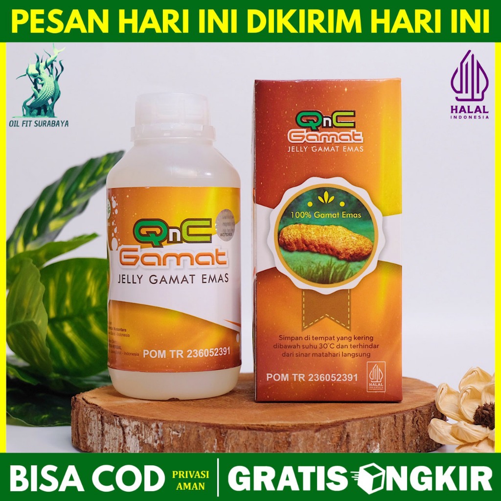 Jual Qnc Jelly Gamat Asli Teripang Emas Untuk Segala Jenis Penyakit ...